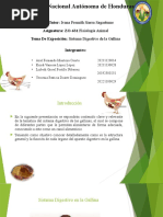 Anatomia y Fisologia Del Sistema Digestivo de Las Aves | PDF ...