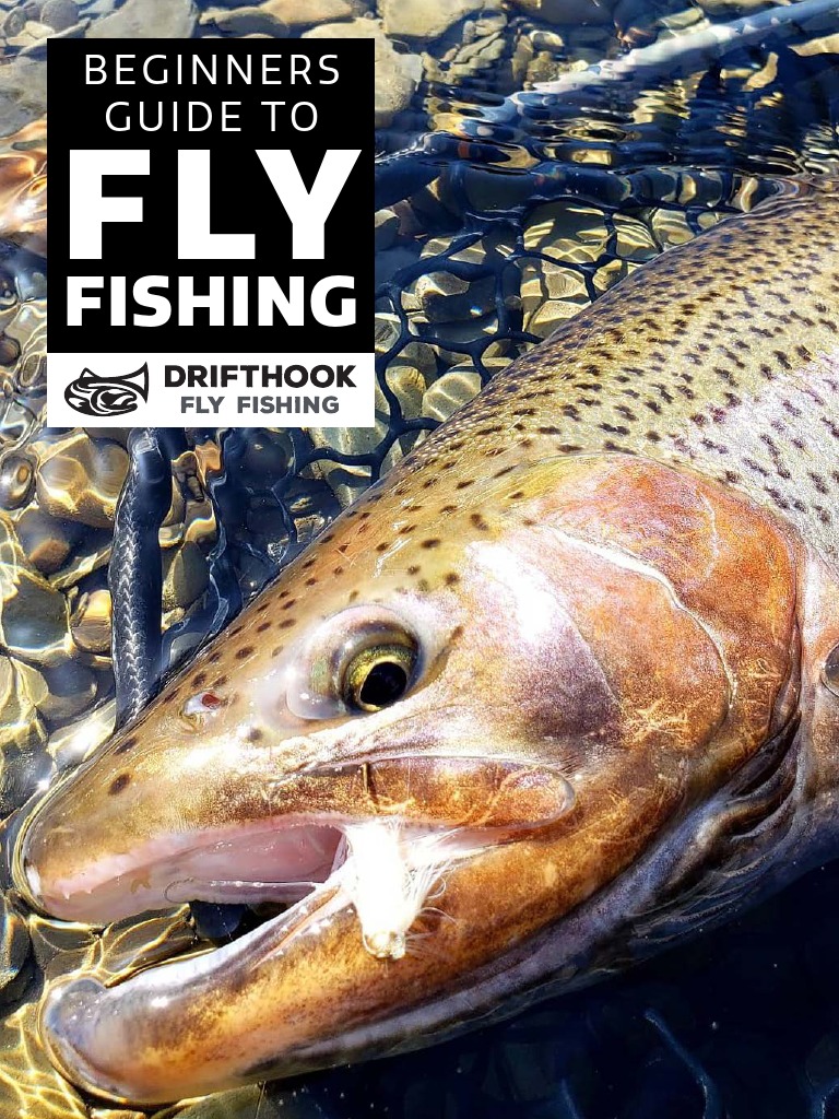 Beginner's Fly Fishing Guide | PDF | Fishing Rod | Fly Fishing