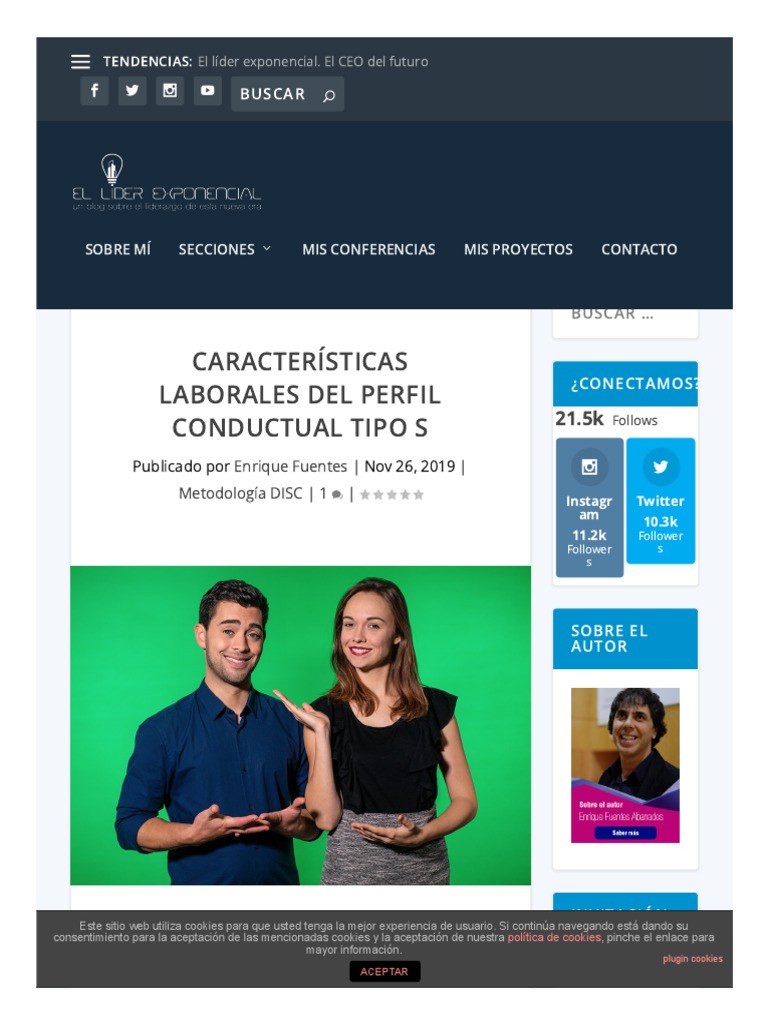 Perfil Conductual 03 Tipo S Características, Fortalezas y Debilidades | PDF | Cookie HTTP ...