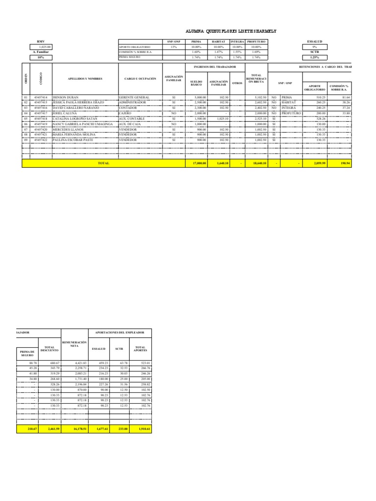 Planilla Remuneraciones1 | PDF | Distribución de ingresos del factor | Relaciones laborales