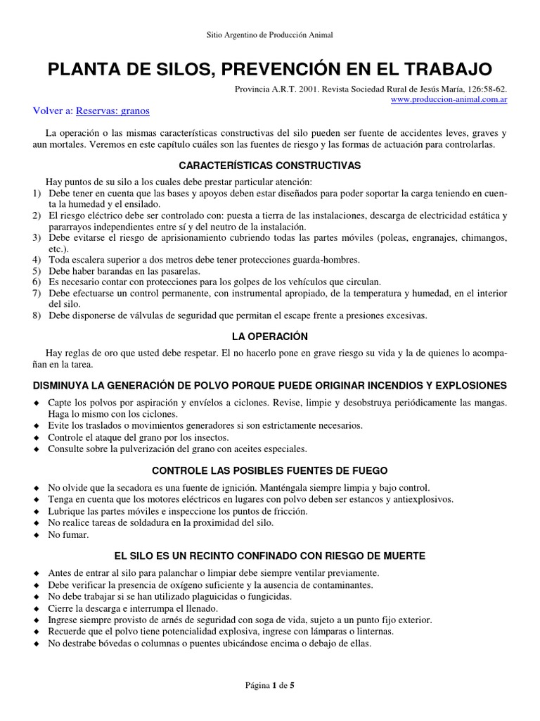 Seguridad en Silos: Prevención y Riesgos | PDF | Reanimación cardiopulmonar
