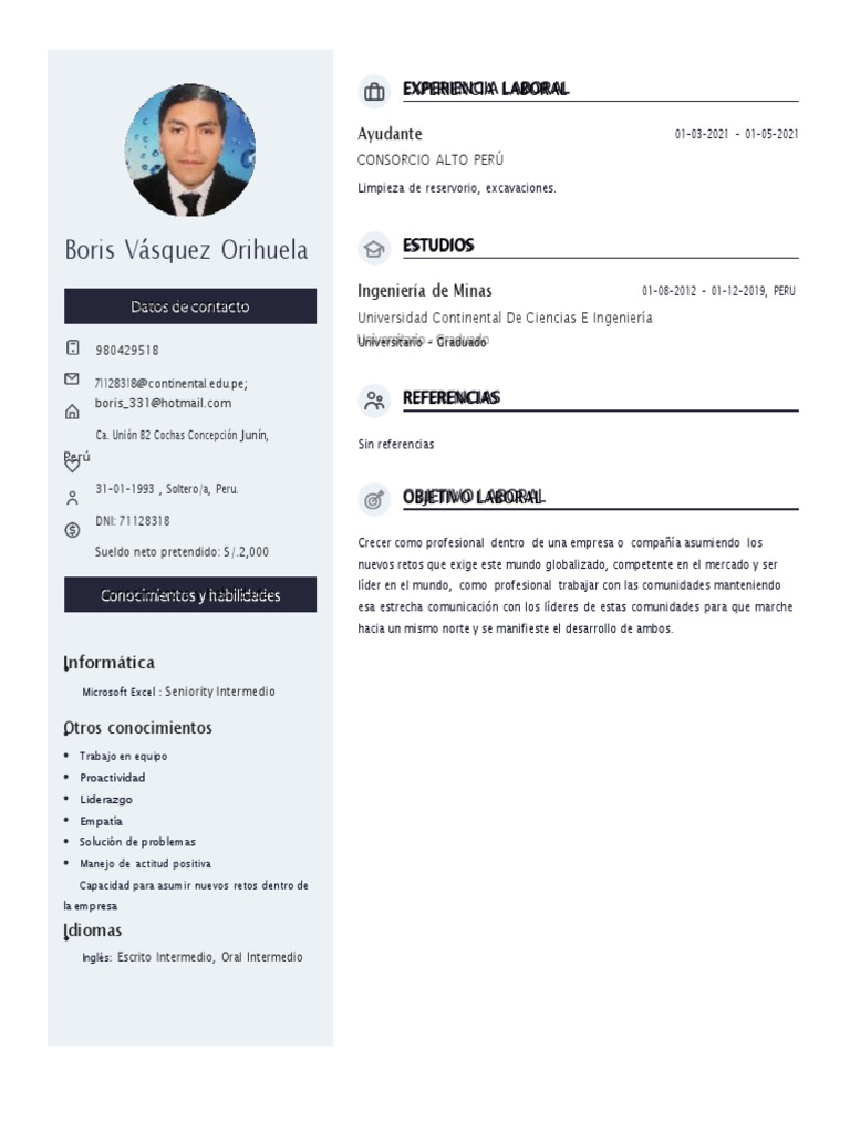 Boris Vásquez CV 1 | PDF