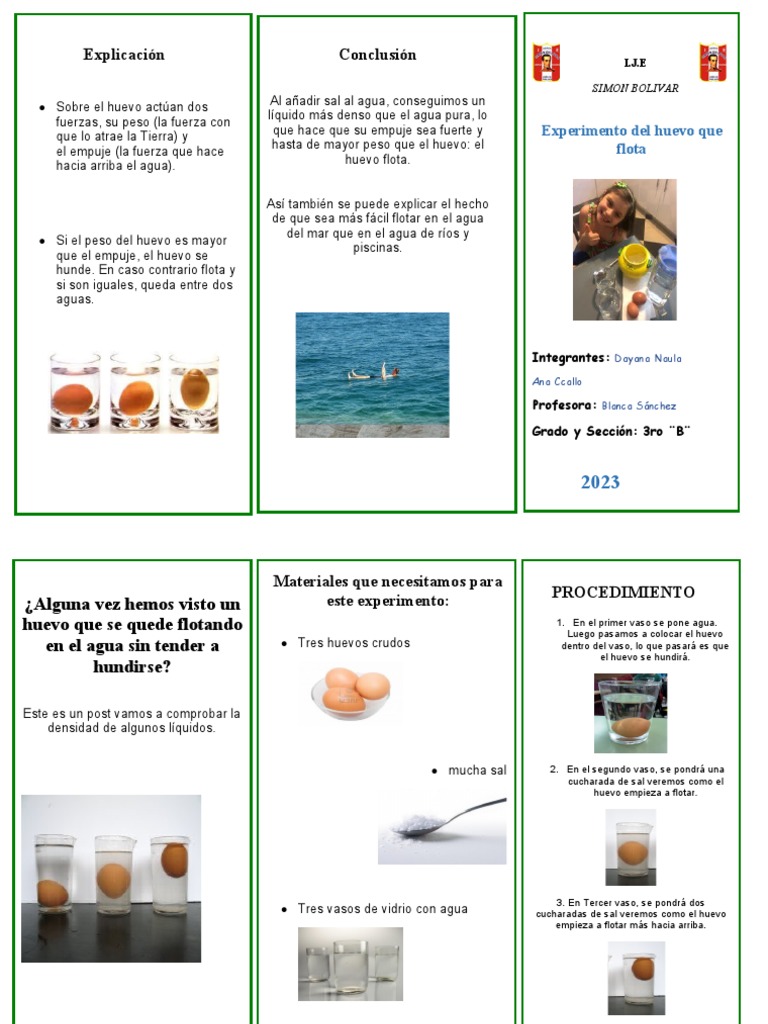 Triptico Del Huevo Que Flota | PDF | Ciencias fisicas | Naturaleza