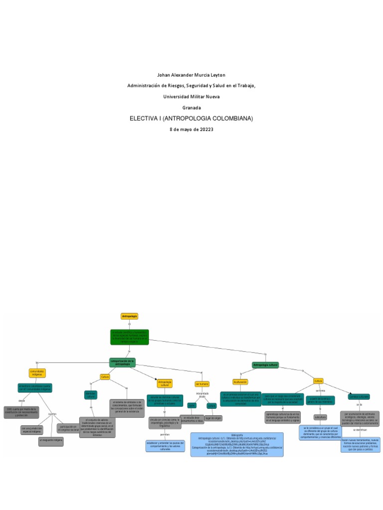 Mapas Electiva JOHAN ALEXANDER Mayo | PDF