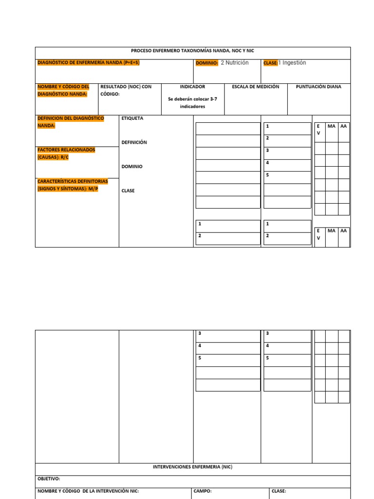 Formato Plan de Cuidados Nanda, Nic y Noc | PDF