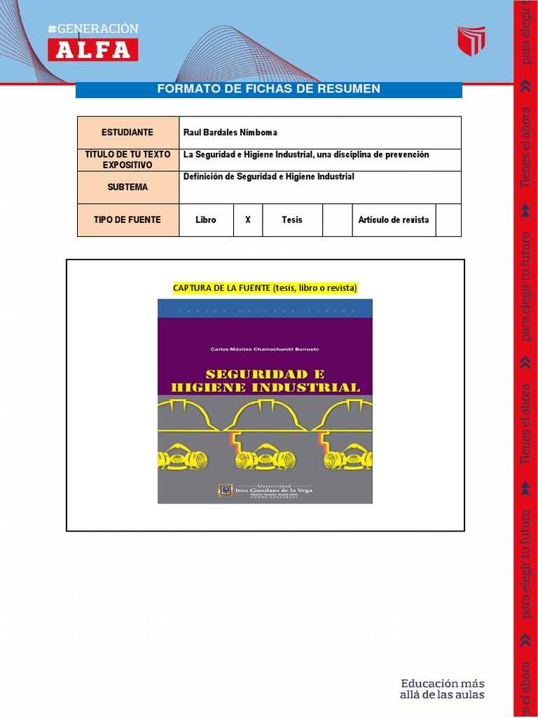 Formato para La Ficha de Resumen Raul | PDF