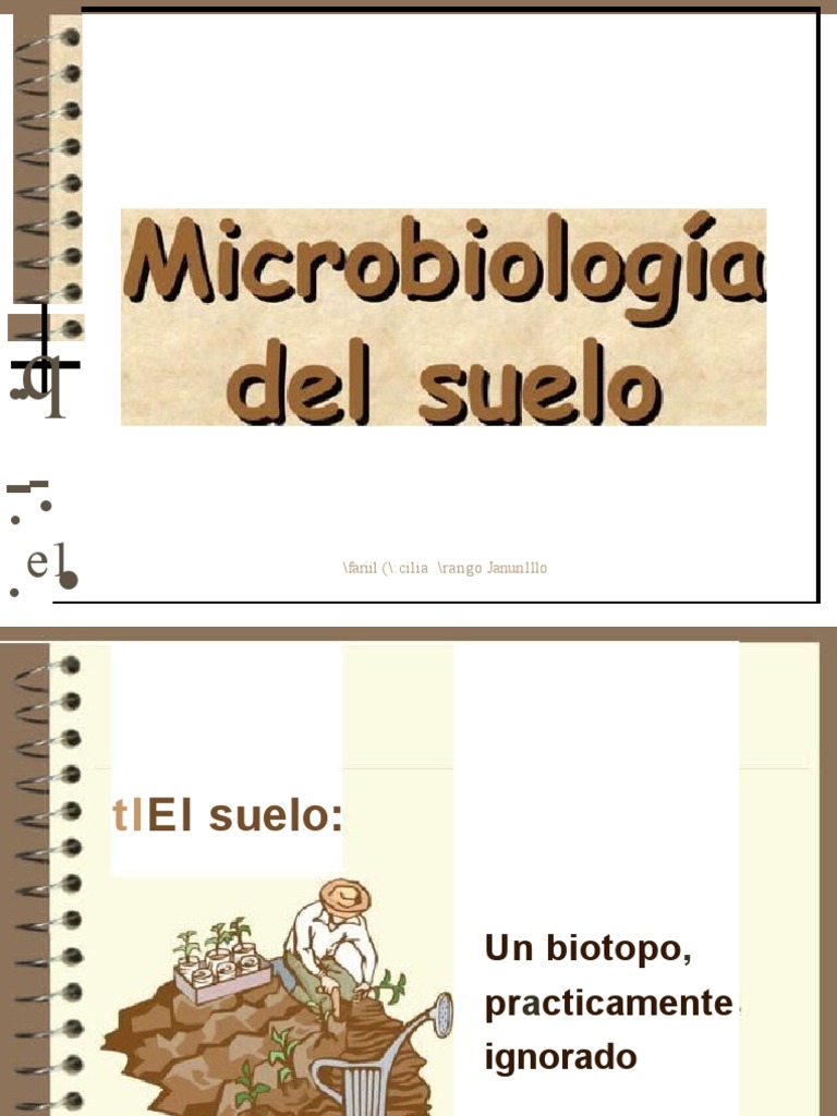Microbiologa Del Suelo | PDF | Suelo | Microorganismo