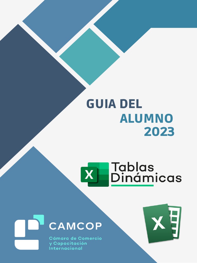 Guia Del Alumno Taller Tablas Dinamicas | PDF