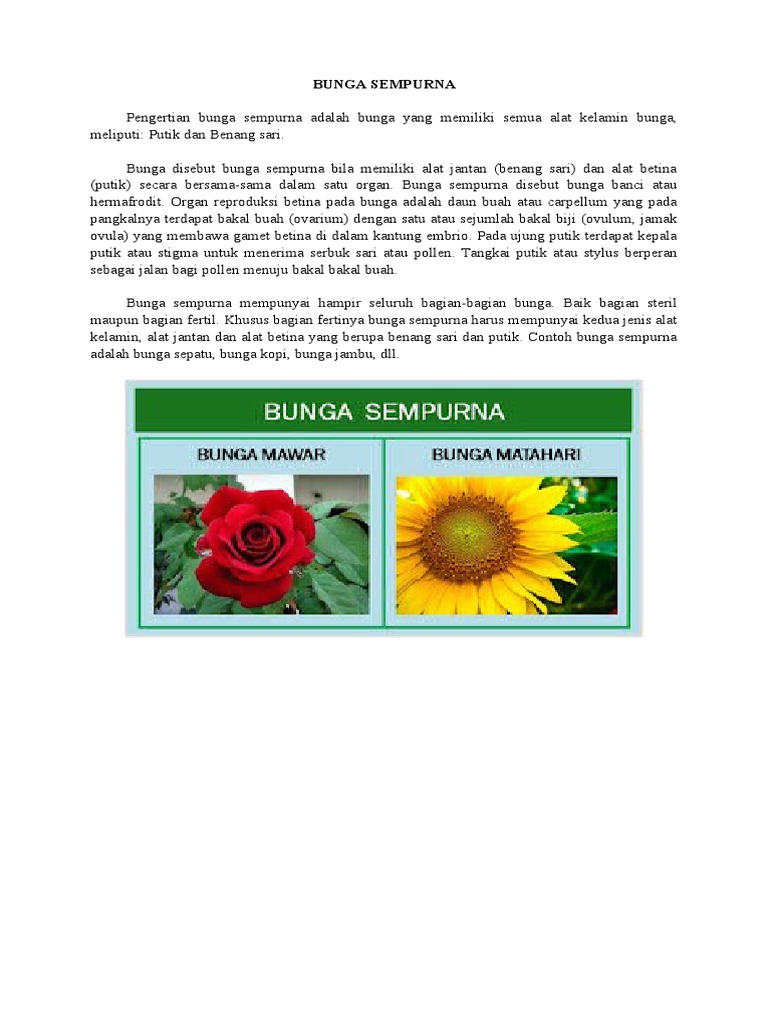BUNGA SEMPURNA-WPS Office | PDF | Seni & Disiplin Bahasa | Griya & Taman