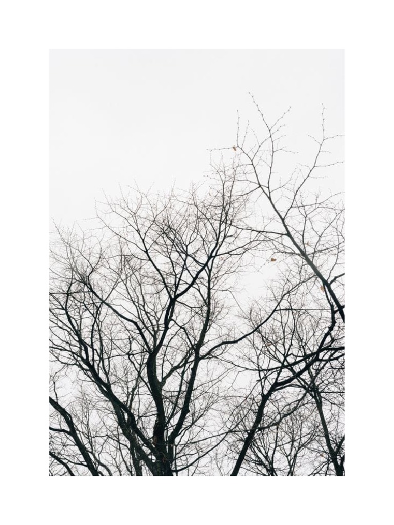 POSTER UKURAN 60 X 80 | PDF