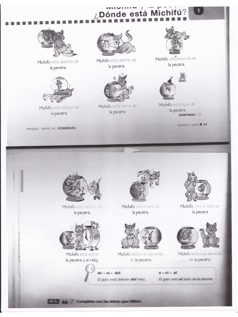 ¿Dónde Está Michifú? | PDF