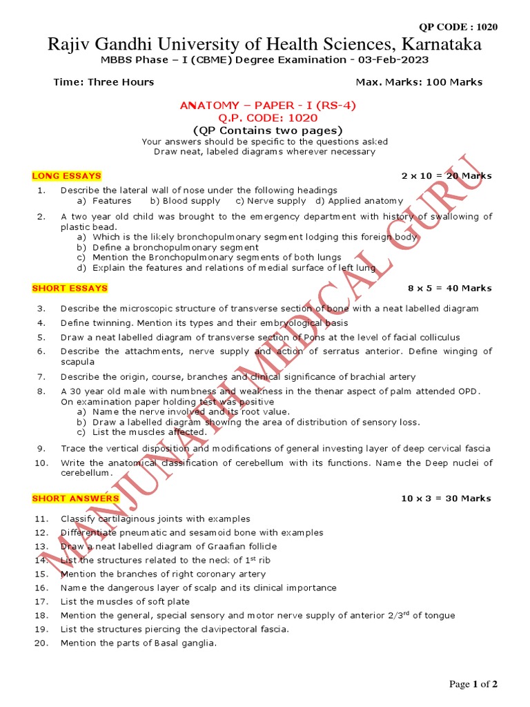 MBBS - 1020 - Anatomy - P1 (February-2023) | PDF | Cerebellum | Neck