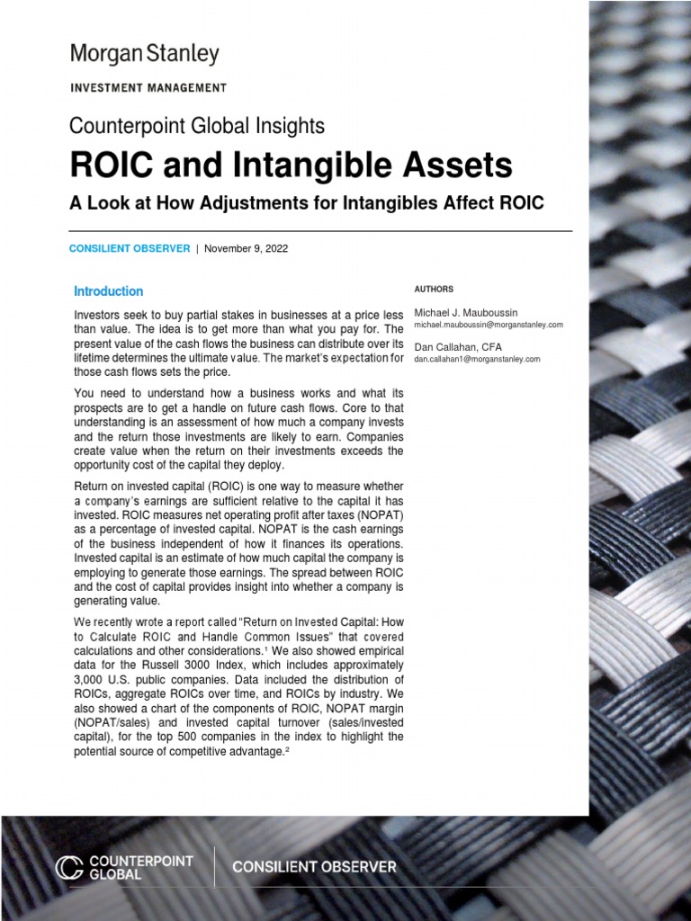 MS - Counterpoint Global Insights ROIC and Intangible Assets | PDF | Investing | Household ...