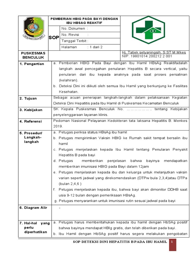 Sop Pemberian Hbig Bayi-1 | PDF