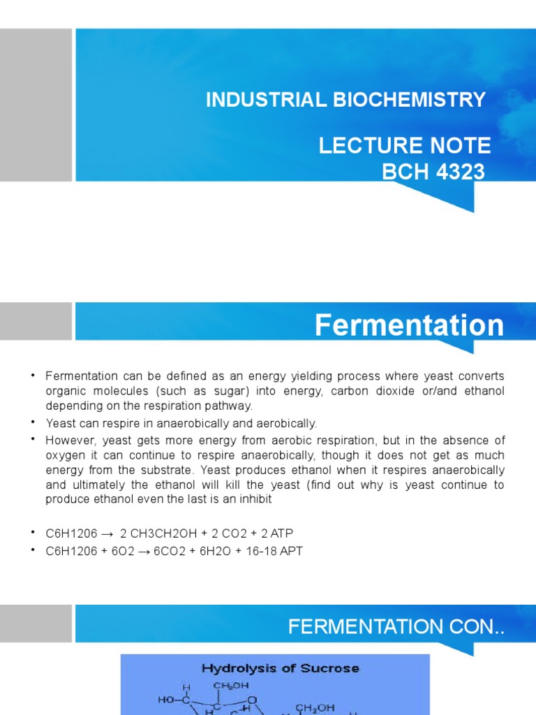 BCH4323 Industrial Biochemistry | PDF | Malt | Beer