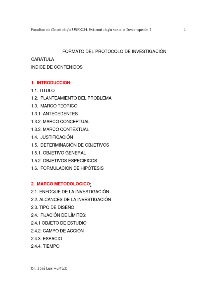 Formato Del Protocolo | PDF