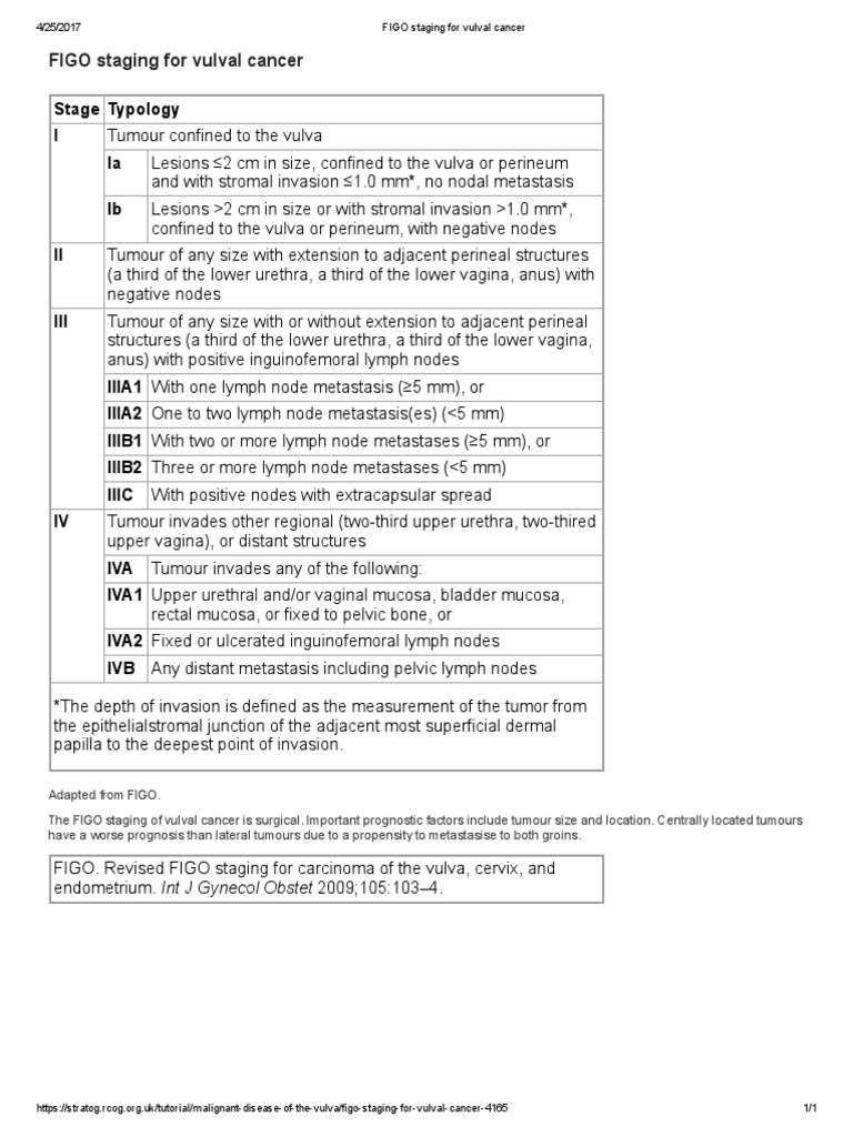 13-FIGO Staging For Vulval Cancer | PDF