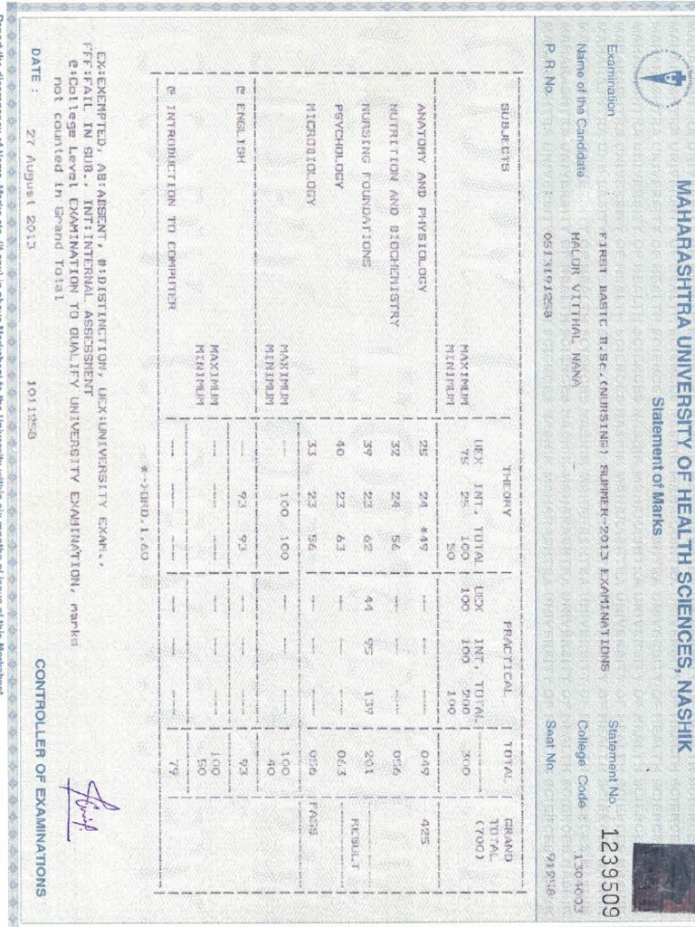 BSC 1ST Marksheet | PDF