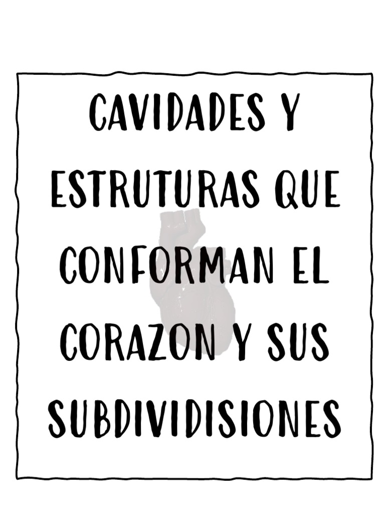 Practica 3 Cavidades Del Corazon | PDF | Corazón | Ventrículo (corazón) Practica 3 Cavidades Del Corazon | PDF | Corazón | Ventrículo (corazón)