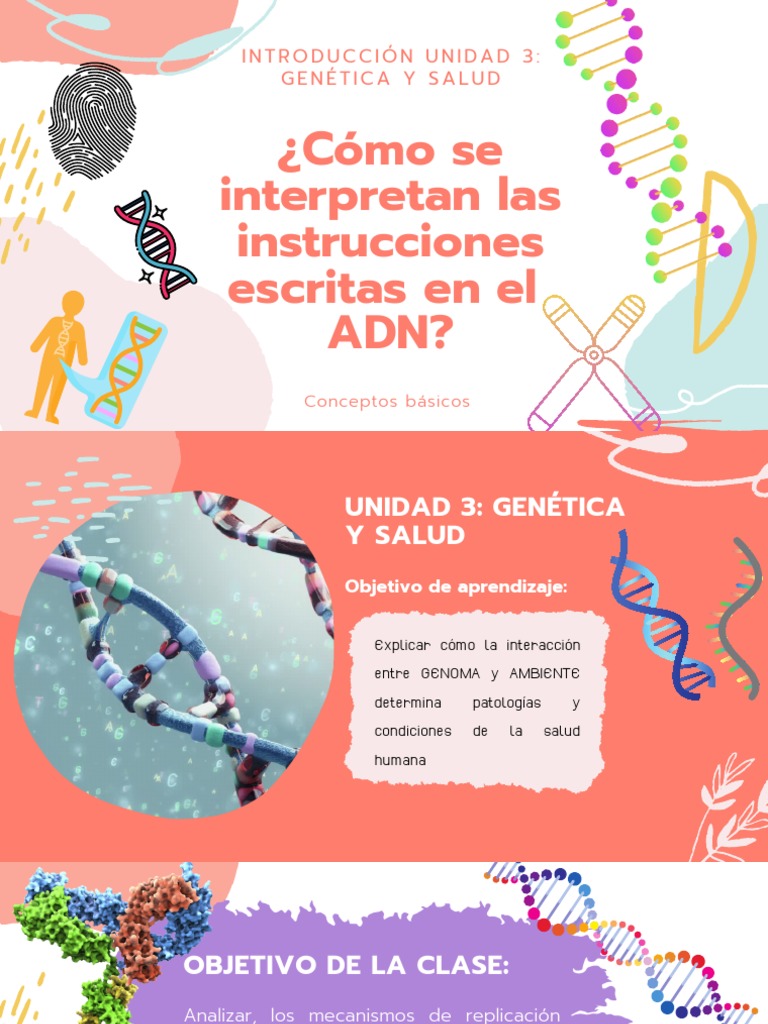 Introducción Unidad 3 Genética y Salud | PDF | Rna | Adn