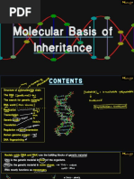 NCERT - Molecular Basis of Inheritance | PDF | Operon | Translation (Biology)