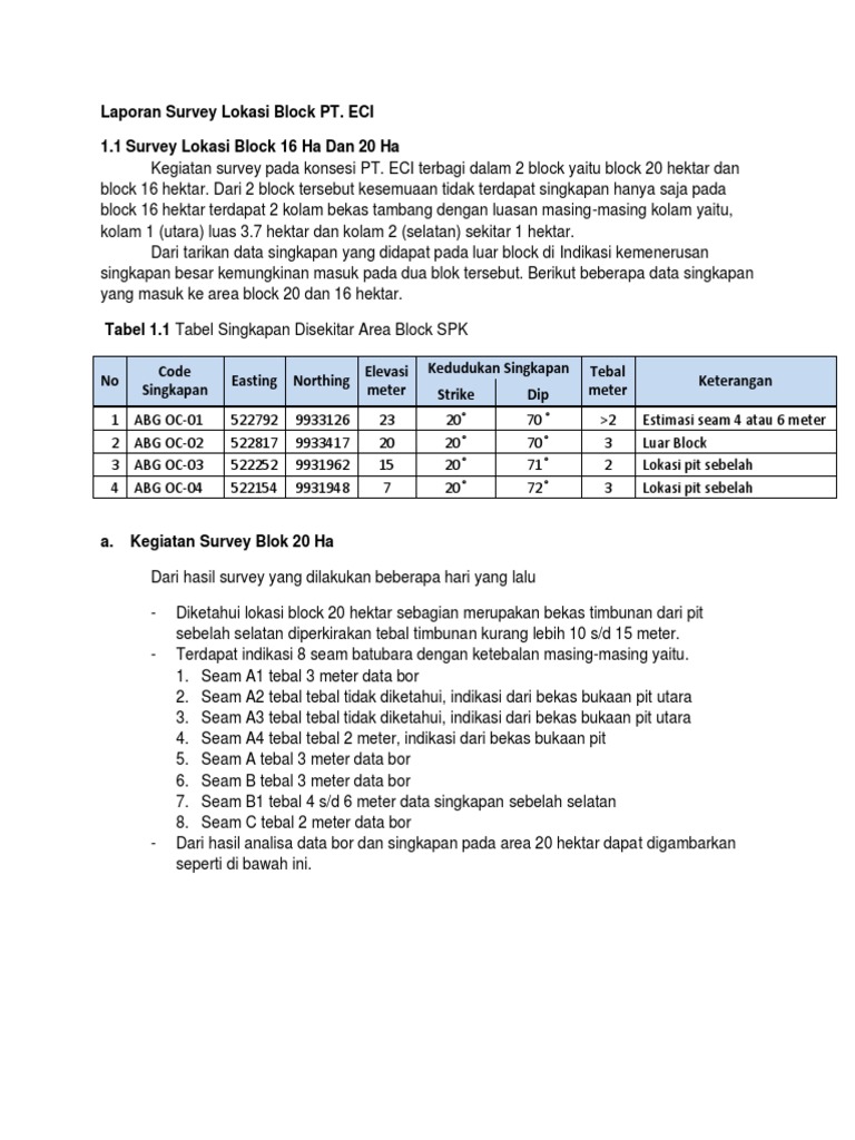 Laporan Survey Lokasi PT. ECI | PDF