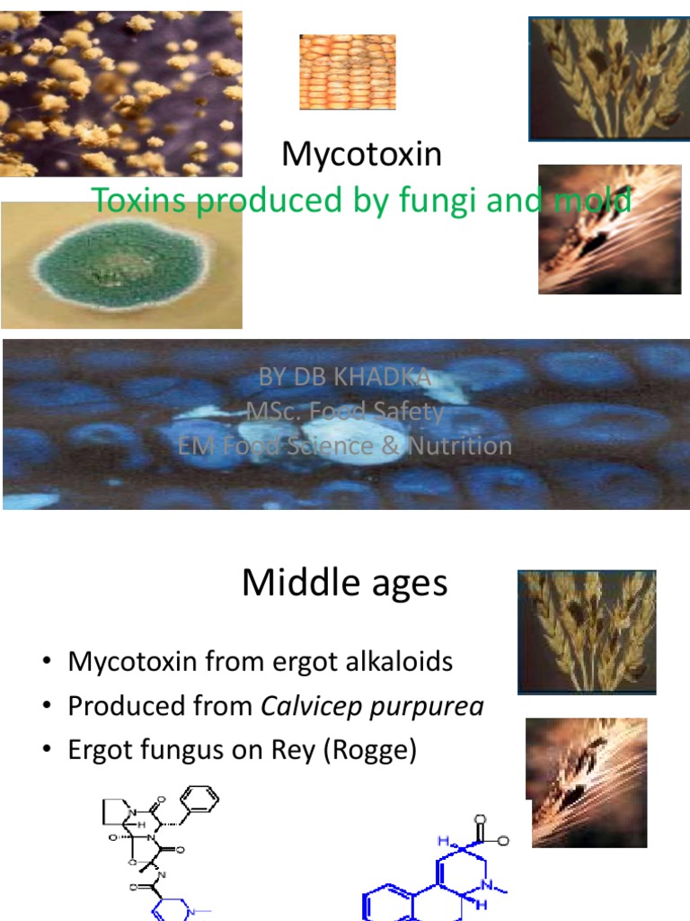 Mycotoxin | PDF | Mycotoxin | Causes Of Death