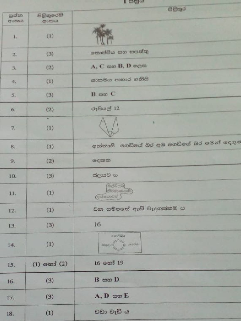 Grade 5 Scholarship Paper Marking Scheme 2021 | PDF