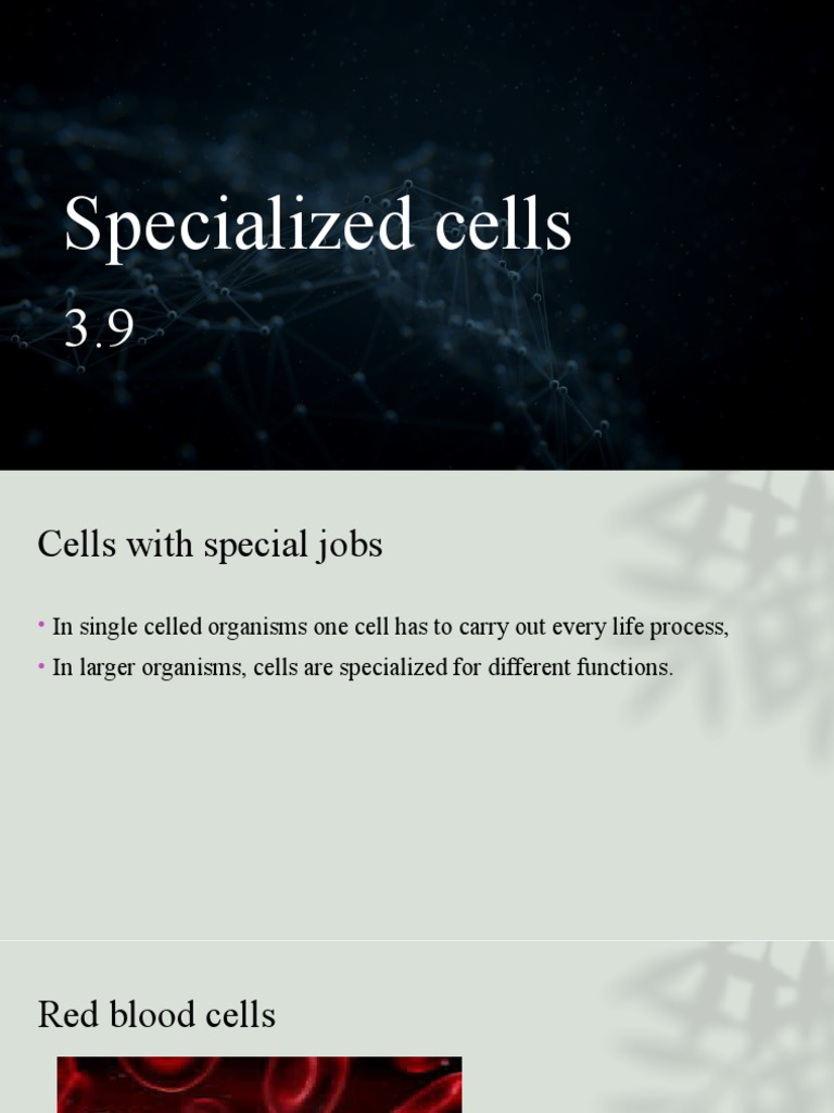 Specialized Cells and Their Functions | PDF