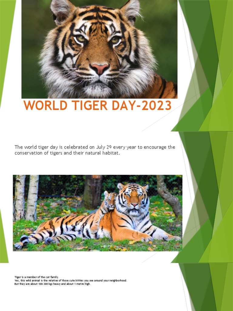 World Tiger Day | PDF | Tiger | Conservation Biology