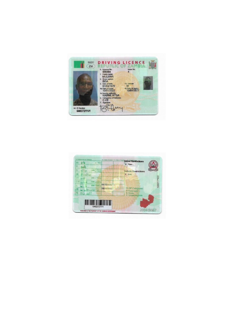 Driving Licence | PDF