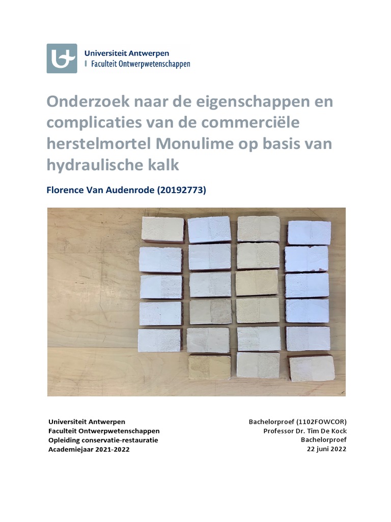 BACHELORPROEF Florence Van Audenrode | PDF