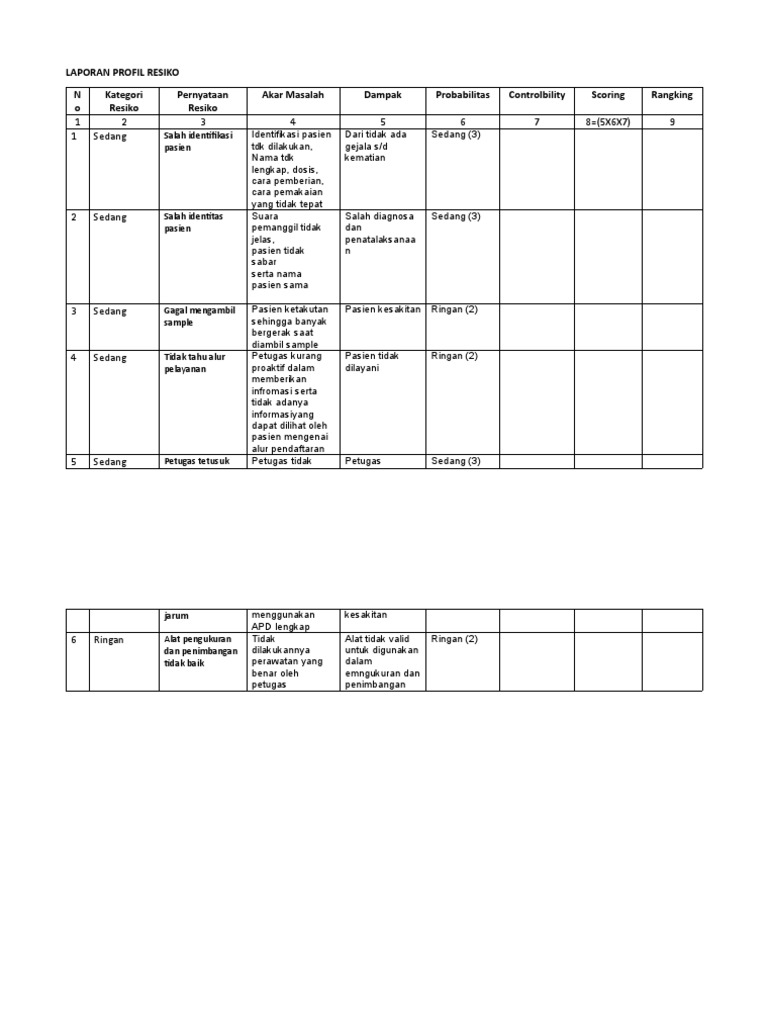 Laporan Profil Resiko | PDF