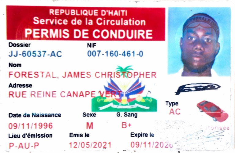 Dossier de Permis de Conduire en Haïti | PDF