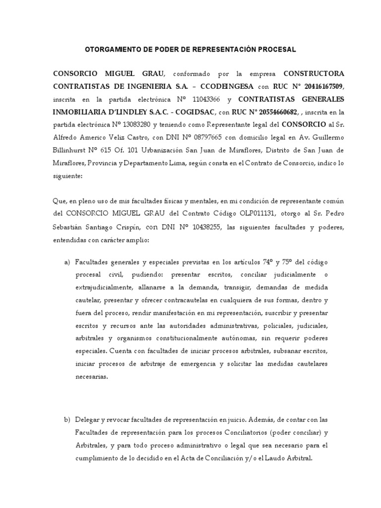 Poder de Representación Procesal | PDF | Gobierno | Justicia