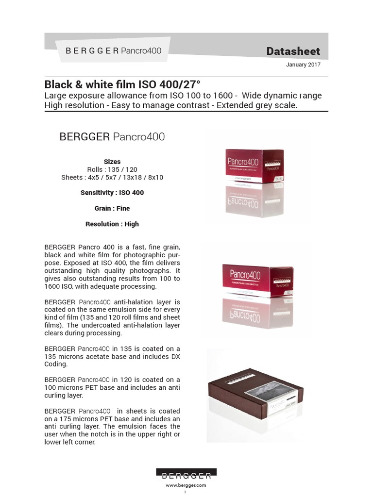 Bergger Pancro 400 Datasheet | PDF