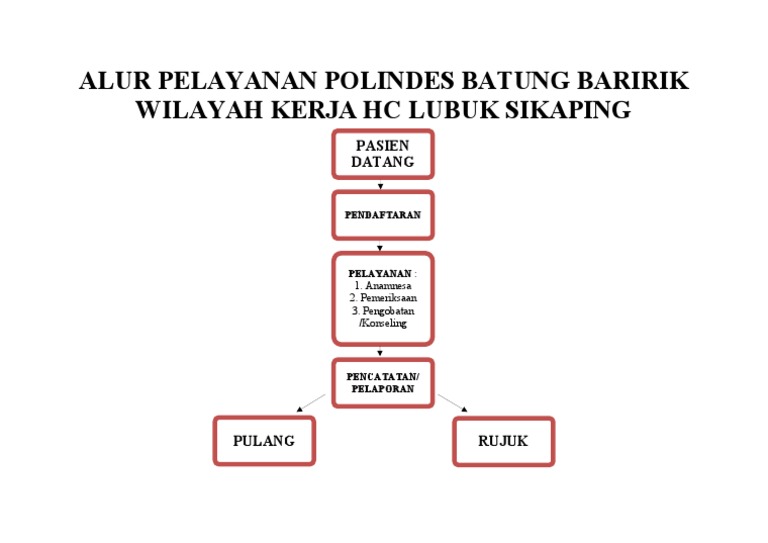 Alur Pelayanan Polindes Batung Baririk | PDF