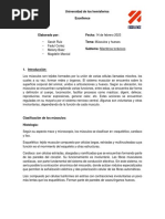 Disección del Muslo de Pollo: Anatomía y Función | PDF | Articulación ...