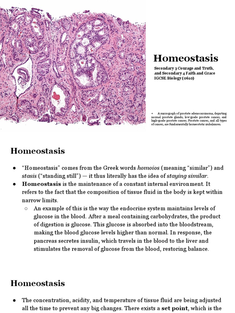 IGCSE Homeostasis (Parts 1 and 2) | PDF | Homeostasis | Glucose
