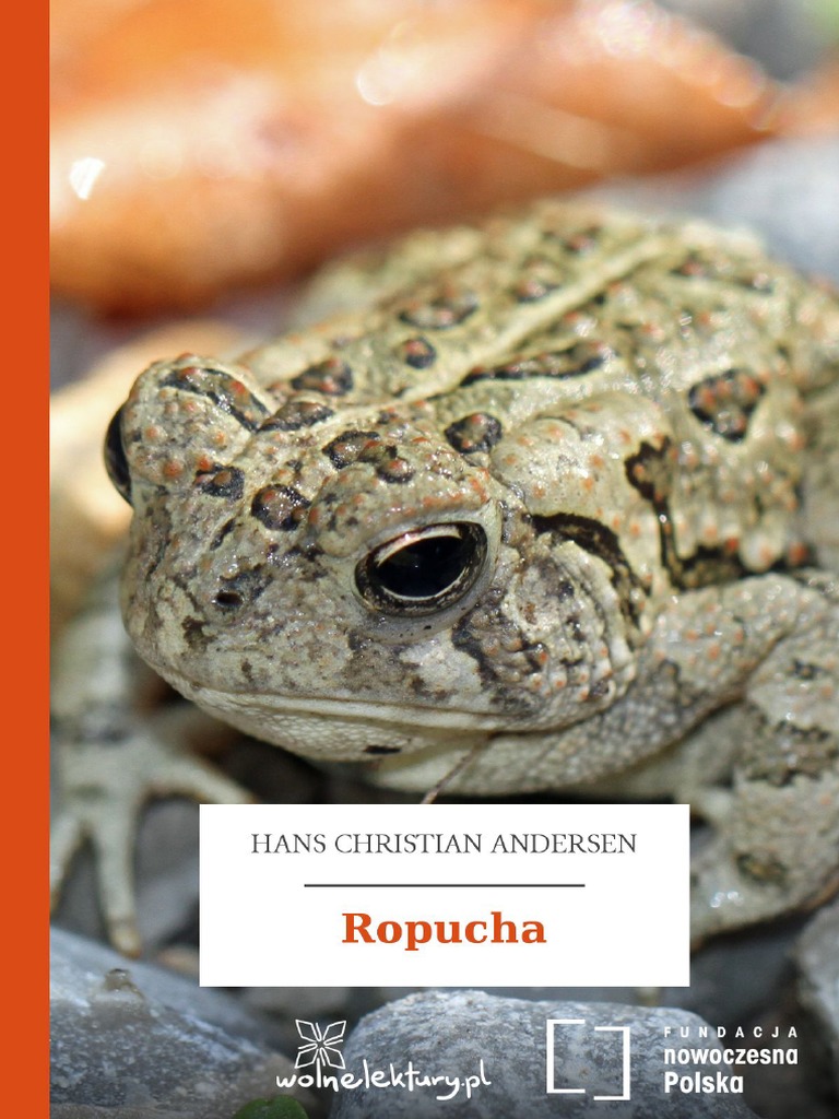 Ropucha | PDF