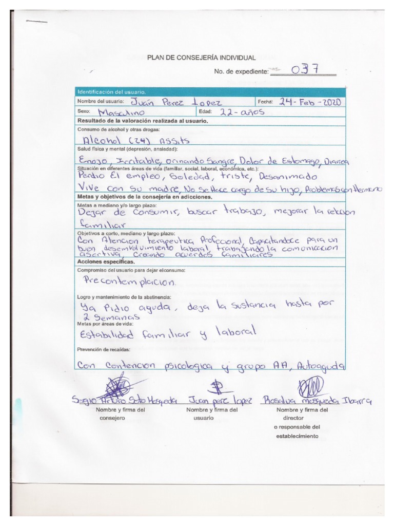 Plan de Consejeria Soto Mosqueda Sergio Arturo | PDF Plan de Consejeria Soto Mosqueda Sergio Arturo | PDF
