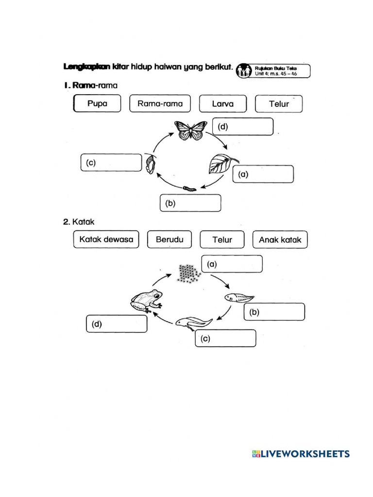 Latihan Sains Tahun 2 | PDF