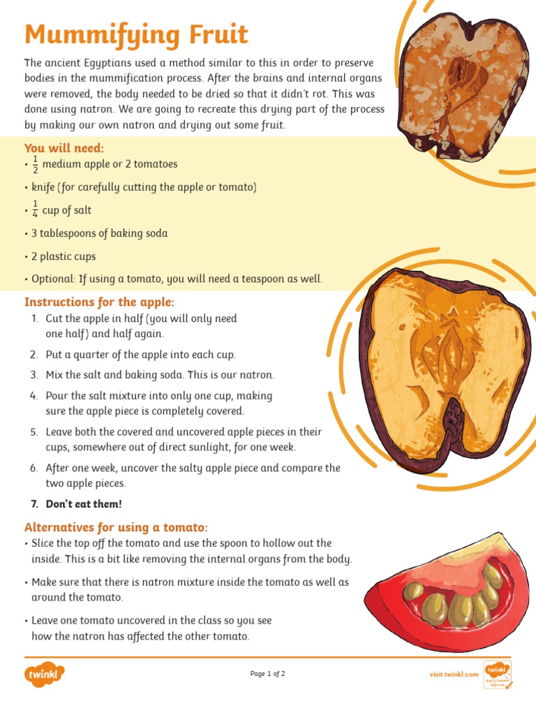 mummifying-fruit-activity-us-ss-501_ver_1 | PDF