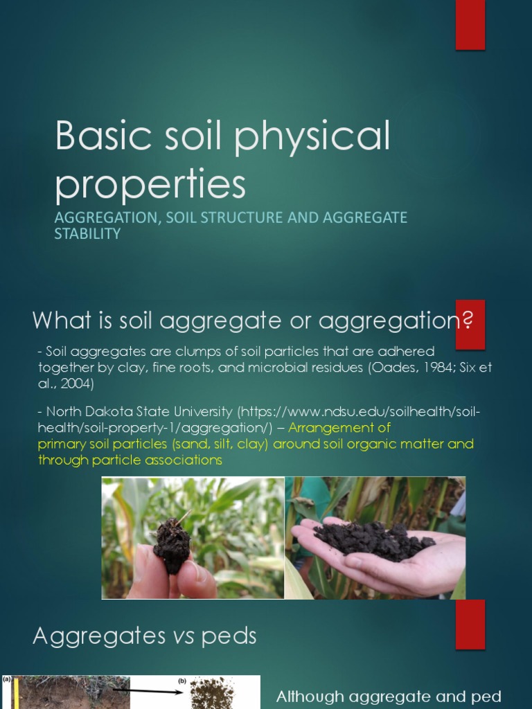 Soil Aggregation and Structure Guide | PDF | Soil | Natural Environment