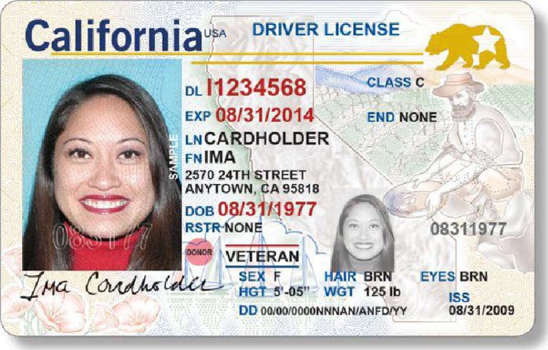 Californian Driver License | PDF