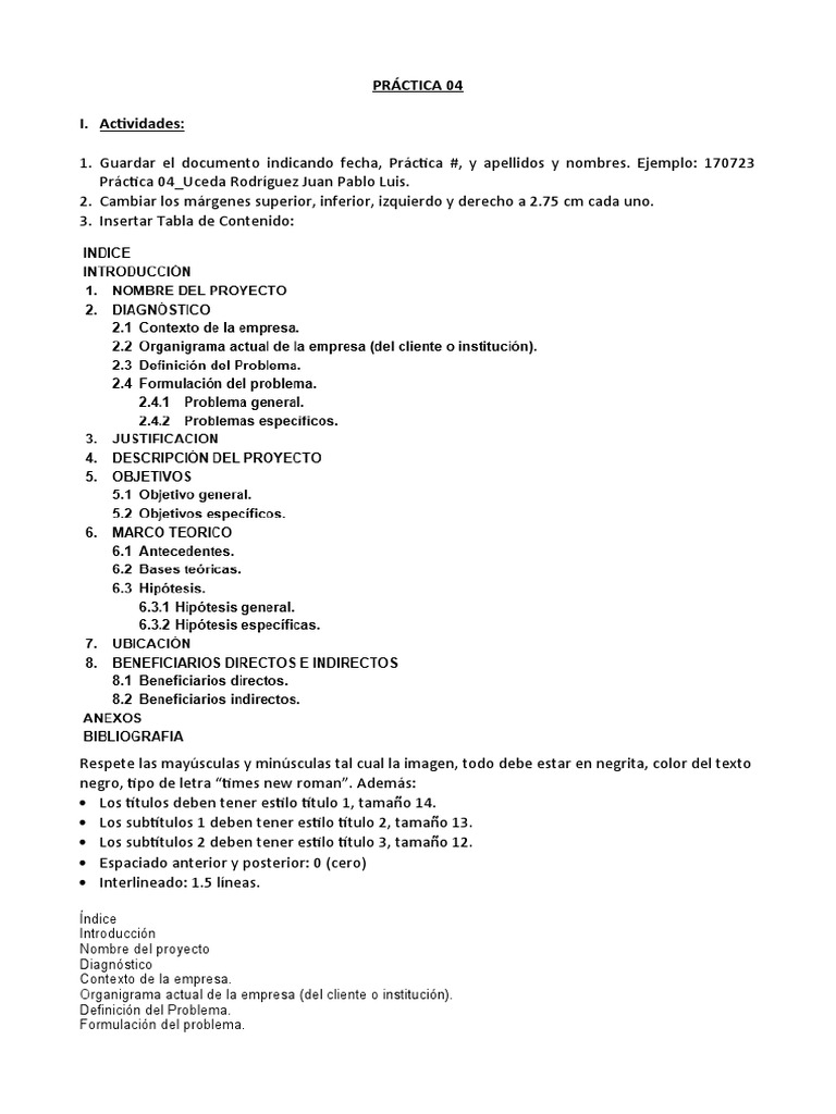 Práctica 04 - Aplicando Formato y Estilo en Ms Word - Parte 04 | PDF