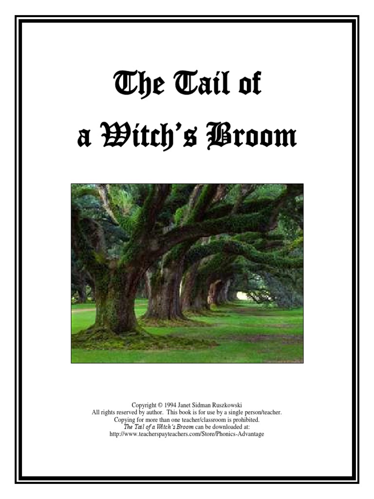 The Tail of A Witch's Broom | PDF