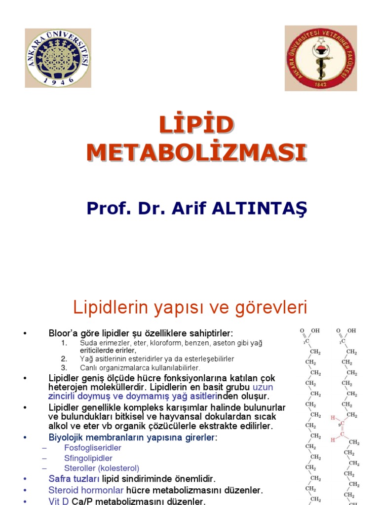 Lipid-Metabol | PDF