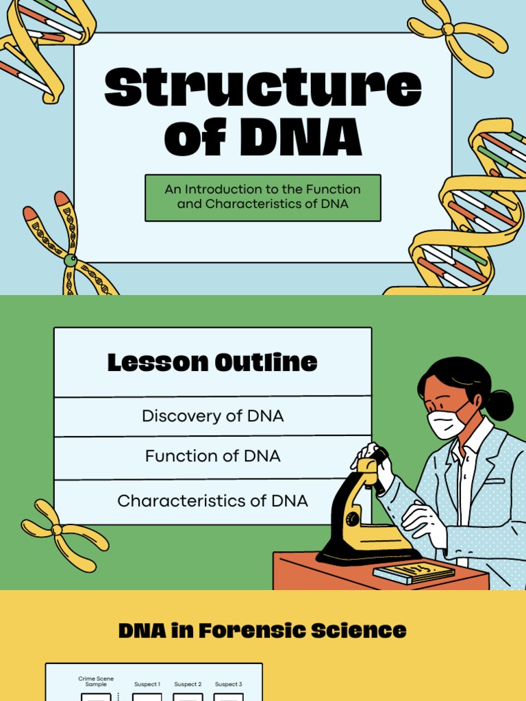 Structure of DNA Science Presentation in Light Blue Green Lined Style ...