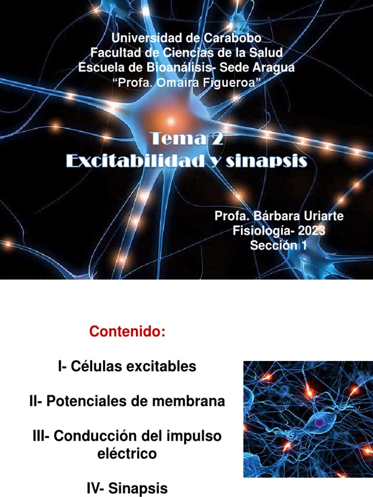 Tema 2 Excitabilidad y Sinapsis 2023-4 | PDF | Potencial de acción ...